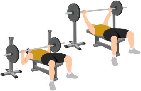 How to Bench Using Chains - Rich Franklin