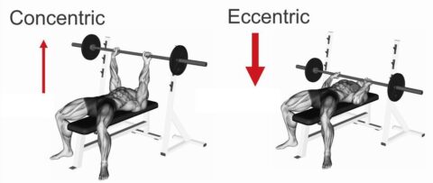 How to Bench Using Chains - Rich Franklin